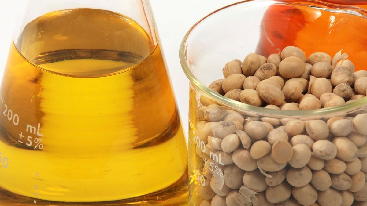 Ölsaatenmärkte: Sojaöl bricht nach EPA-Beschluss ein